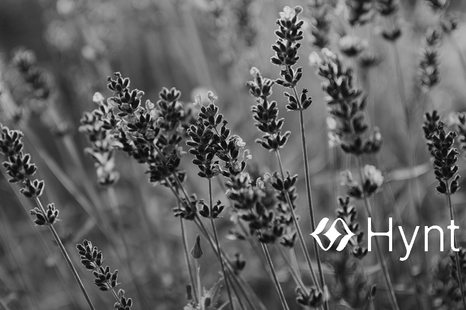 Home · Hynt